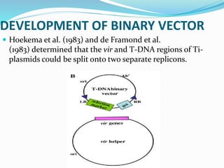 Binary Vector, By KK Sahu sir | PPT