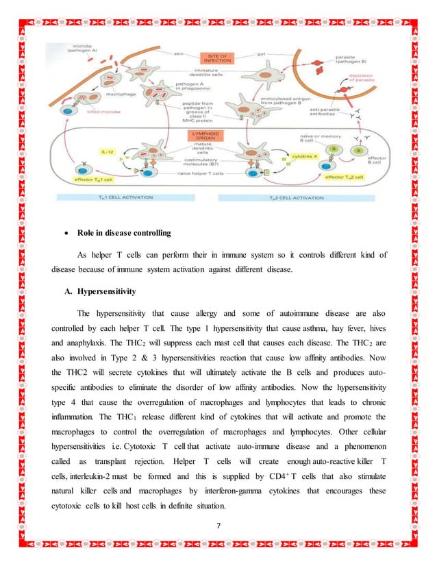 interaction of T cells and cytokines of T cell | DOCX | Infectious Diseases | Diseases and ...