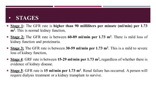 Kidney Diseases | PPT