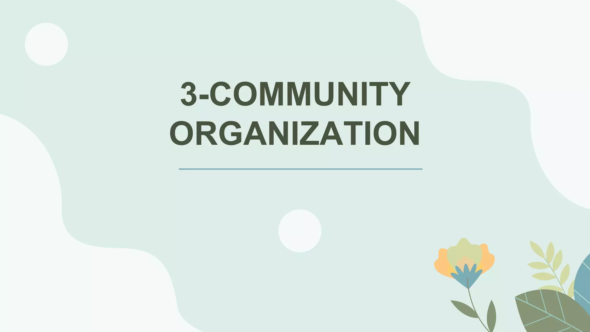 Community Development | PPTX