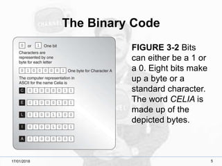 E-Tourism - Essentials of Computing | PPTX | Operating Systems | Computer Software and Applications