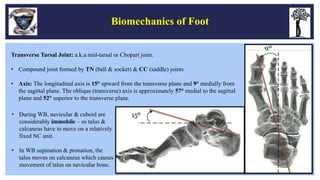 Fractures and Dislocations of Foot - Dr Sunkappa SR | PPTX