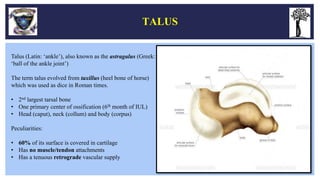 Fractures and Dislocations of Foot - Dr Sunkappa SR | PPTX