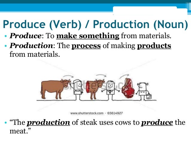 Government and Economy Social Studies Vocabulary Cards
