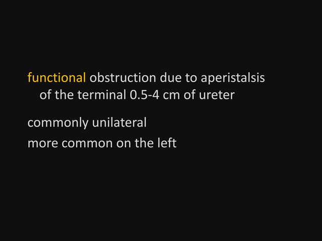 Primary megaureter - imaging findings | PPTX