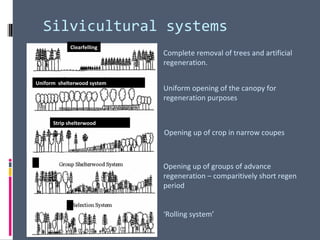 Silvicultural systems | PPT