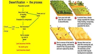 Desertification Process