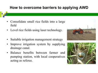 Applying AWD in Vietnam | PDF