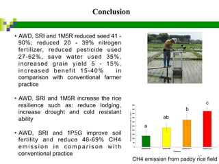 Applying AWD in Vietnam | PDF