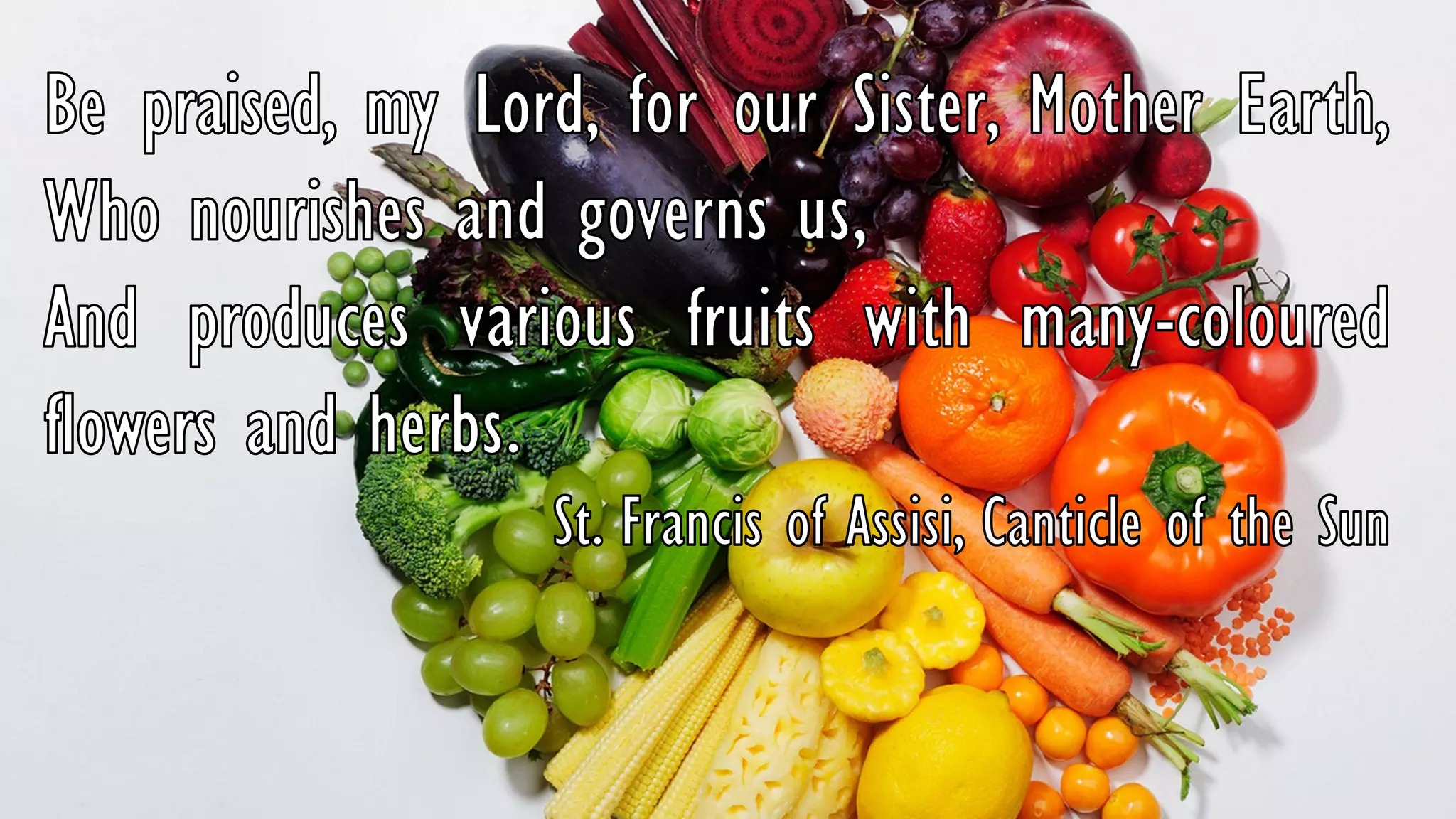 Harvesting an appreciation for God's creation | PPT