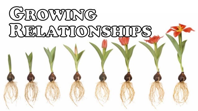 Growing relationships