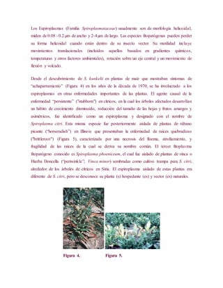Bacterias Fastidiosas Colonizadoras Vasculares. | DOCX