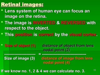 principals of optical and engineering .ppt