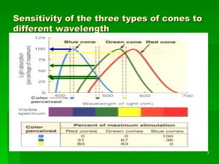 principals of optical and engineering .ppt
