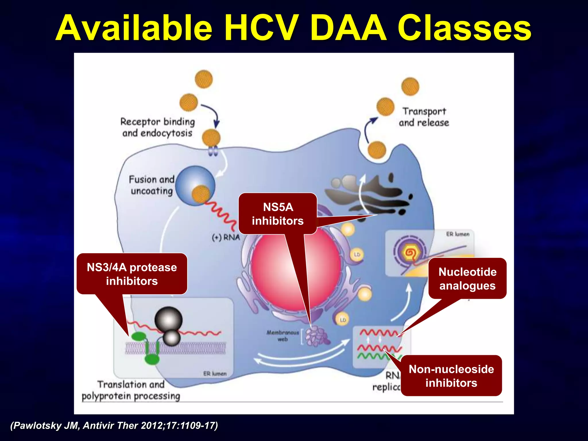 Pawlotzky hcv resistances.pptx du16 | PPTX
