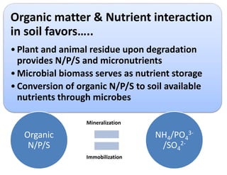 SSAC 353 lecture no. 5 & 6 introduction and imp. of organic matter ...