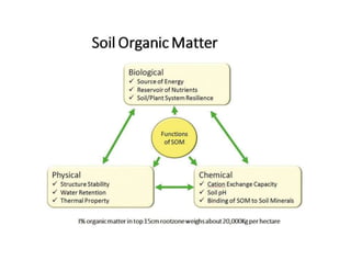 SSAC 353 lecture no. 5 & 6 introduction and imp. of organic matter ...