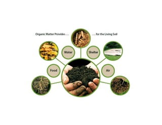 SSAC 353 lecture no. 5 & 6 introduction and imp. of organic matter ...