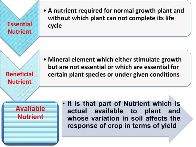 SSAC 353 Lecture no 3 & 4 Arnon's criterion, role, deficiency, toxicity ...