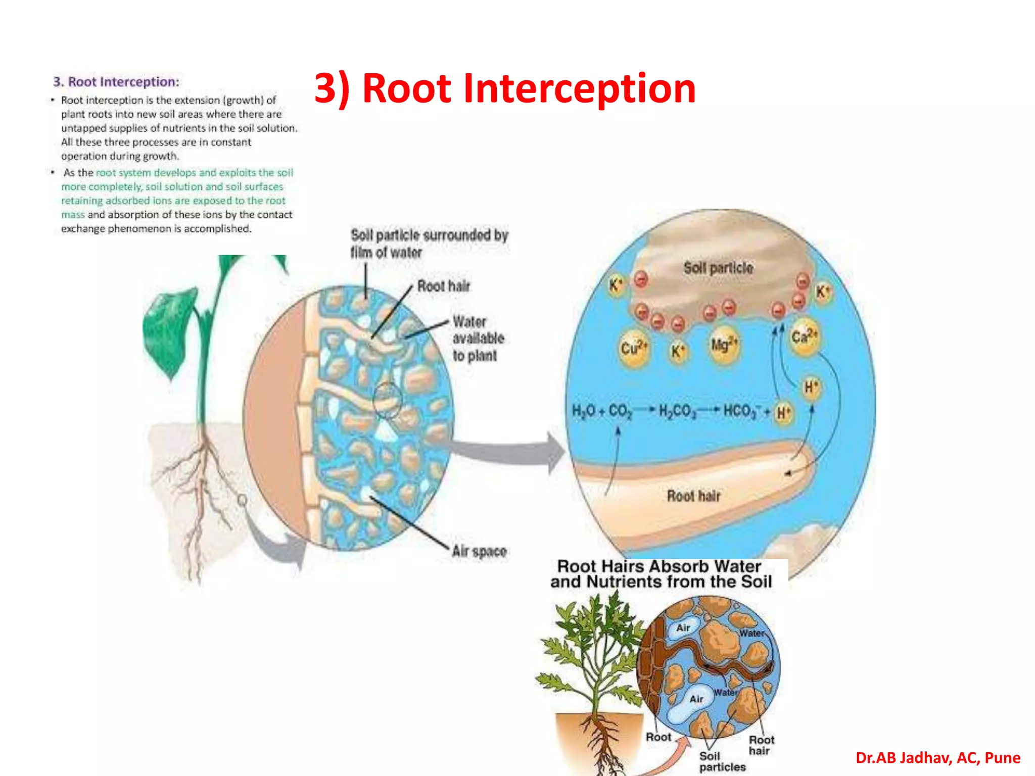 Ssac 353 mechanism of nutrient transport | PPTX