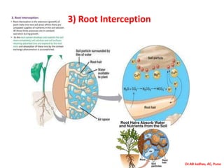 Ssac 353 mechanism of nutrient transport | PPTX | Agriculture | Industries