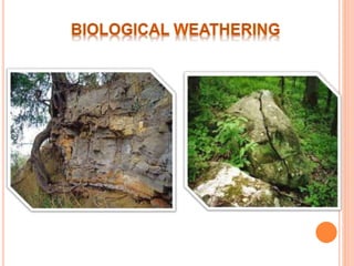 Weathering Of Rocks | PPT