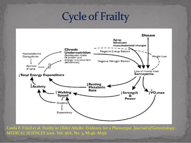 Advances in Frailty-understanding and management