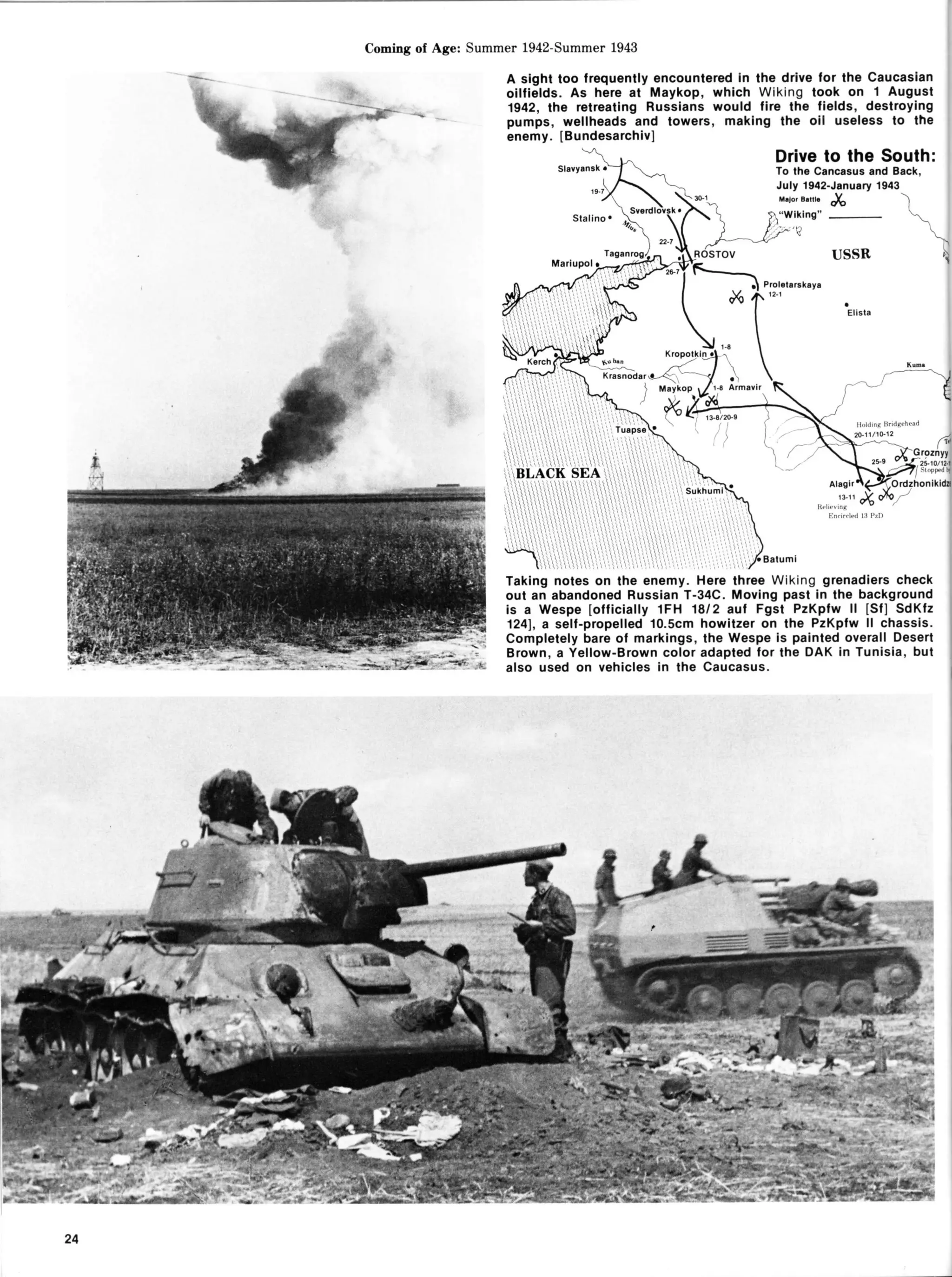 SS armor: a pictorial history of the armored formations of the Waffen ...