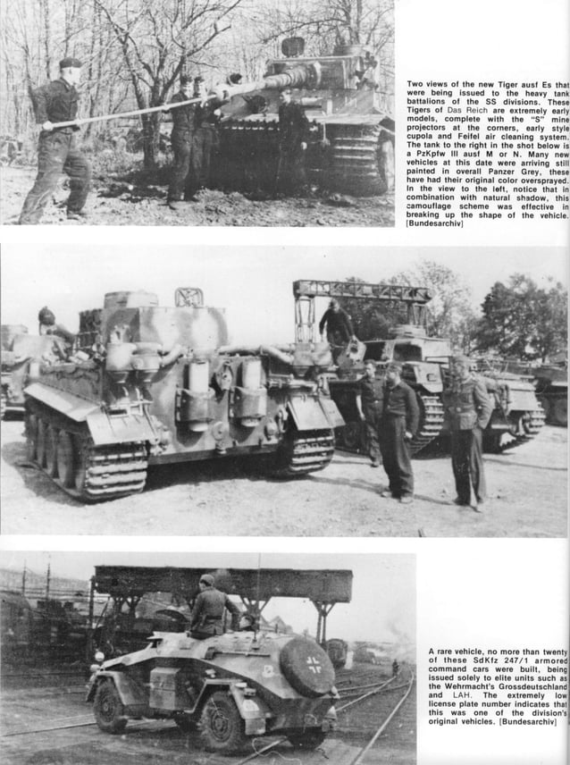 SS armor: a pictorial history of the armored formations of the Waffen ...
