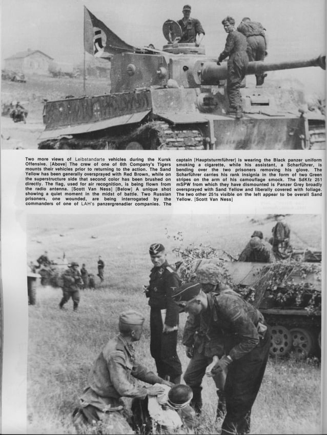 SS armor: a pictorial history of the armored formations of the Waffen ...