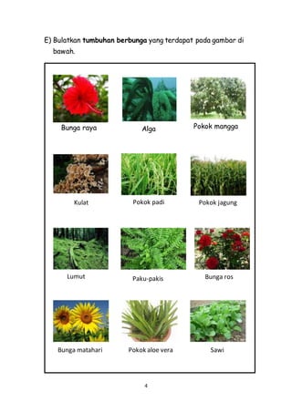 Pend. Sains, Sosial dan Alam Sekitar KSSM PPKI | DOCX