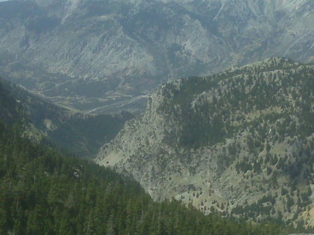 Effective SEN intervention | PPT | Special Education | Education