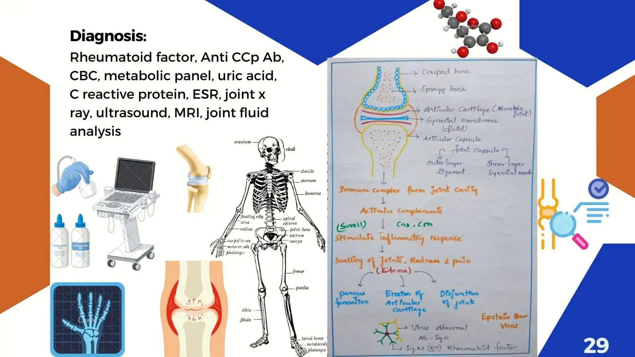 AUTOIMMUNE DISORDERS (ORGAN SPECIFIC & SYSTEM SPECIFIC) | PPTX