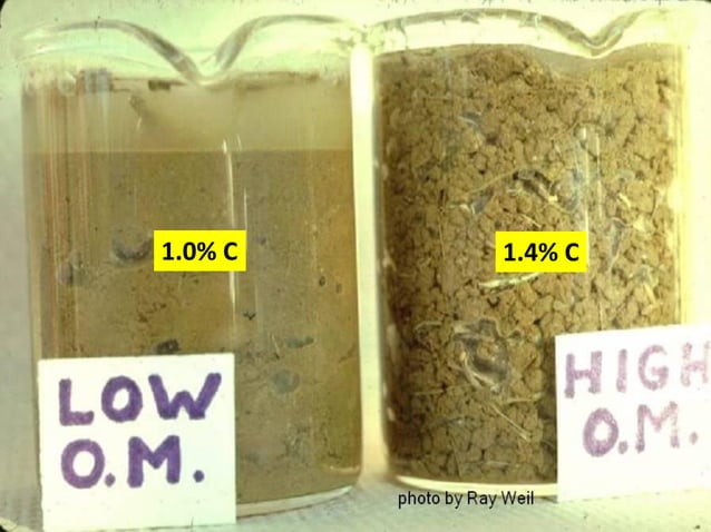Basic soil improvement | PPT