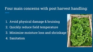 Ssawg 2019 post harvest handling | PPT