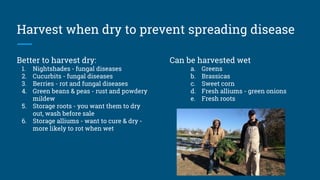 Ssawg 2019 post harvest handling | PPT