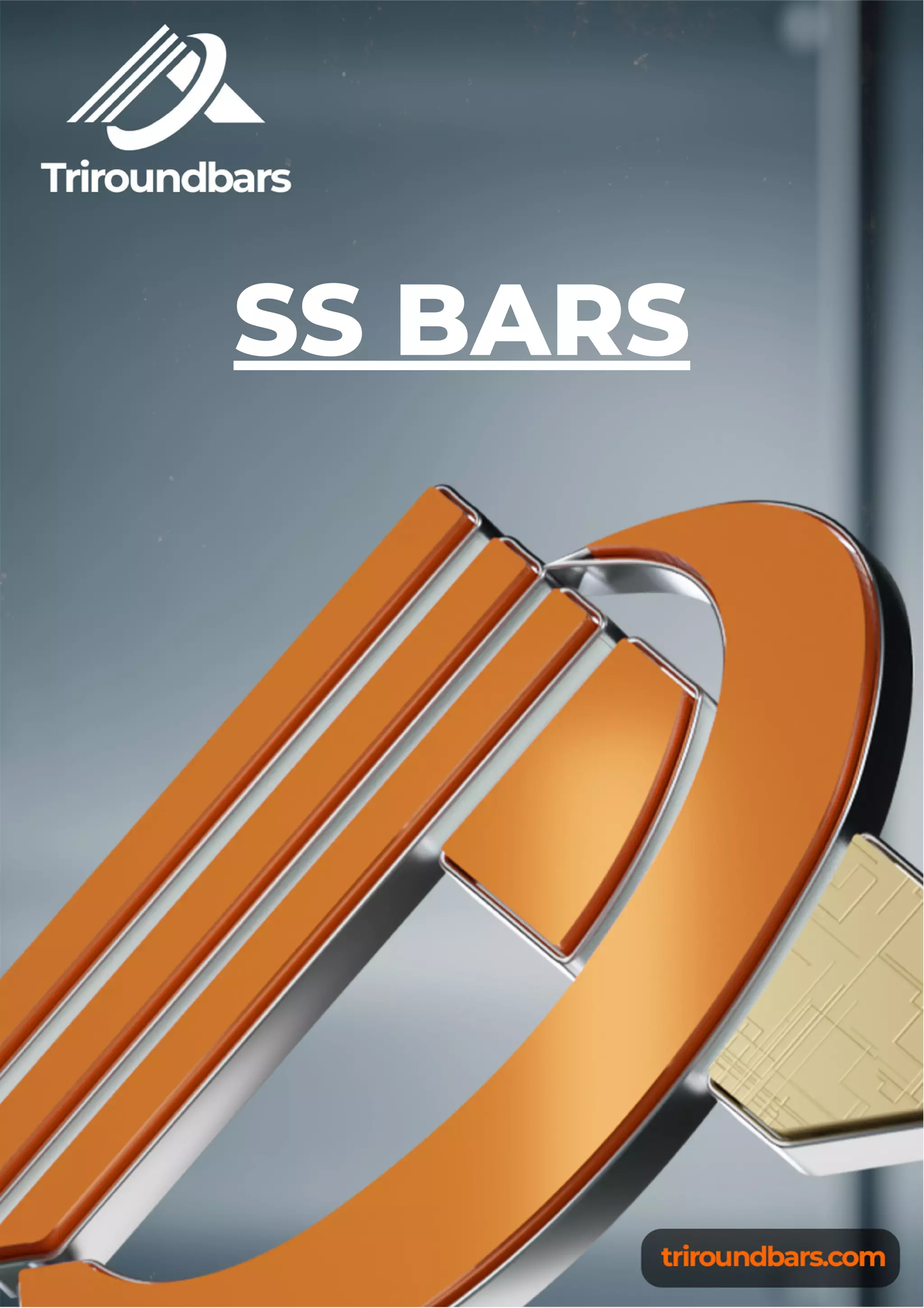 SS Bars | PDF | Industries | Business and Finance