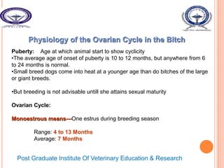 Reproductive Physiology and Breeding Management in Bitch | PPTX