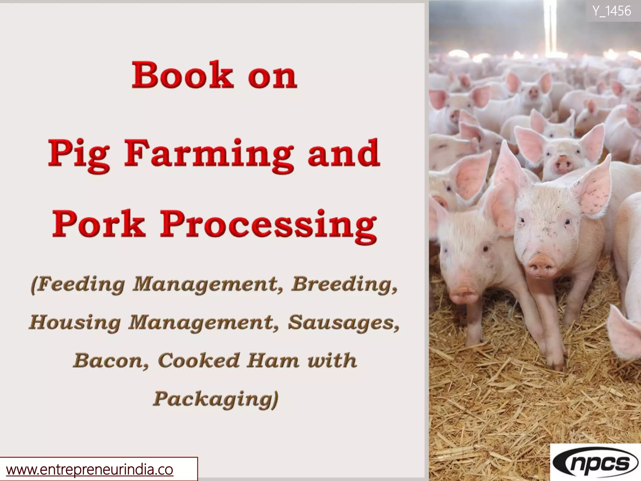 Book on Pig Farming and Pork Processing | PPT