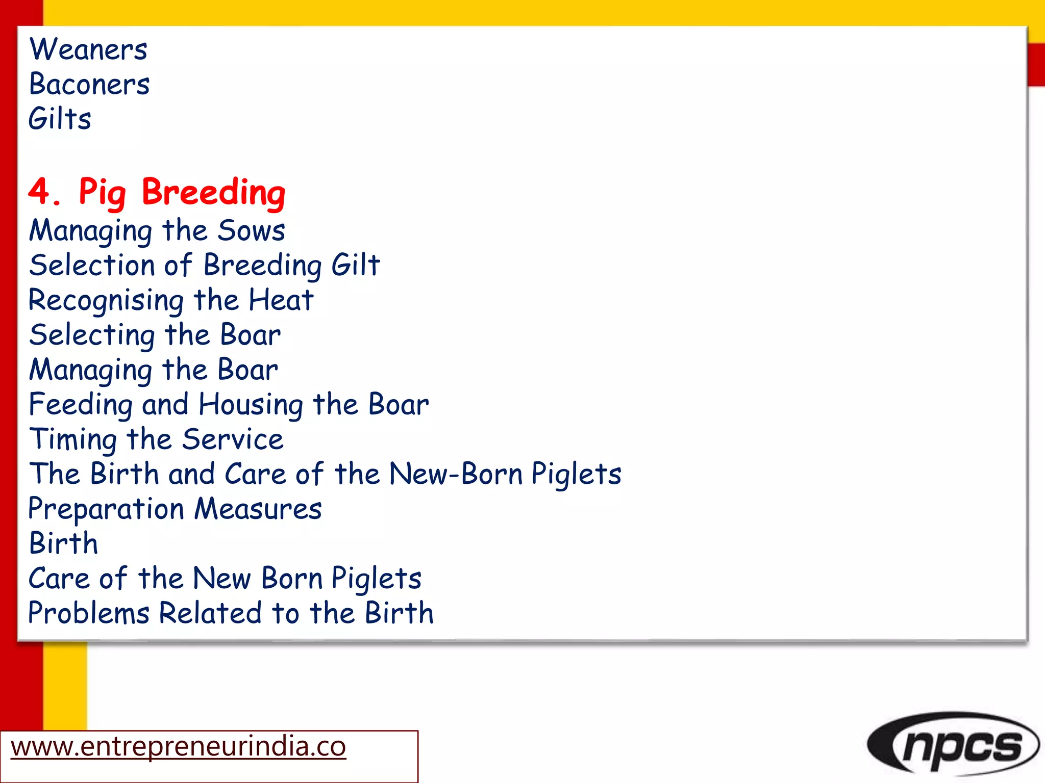 Book on Pig Farming and Pork Processing | PPT