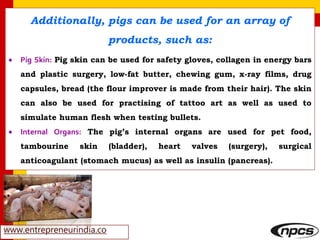 Book on Pig Farming and Pork Processing | PPTX