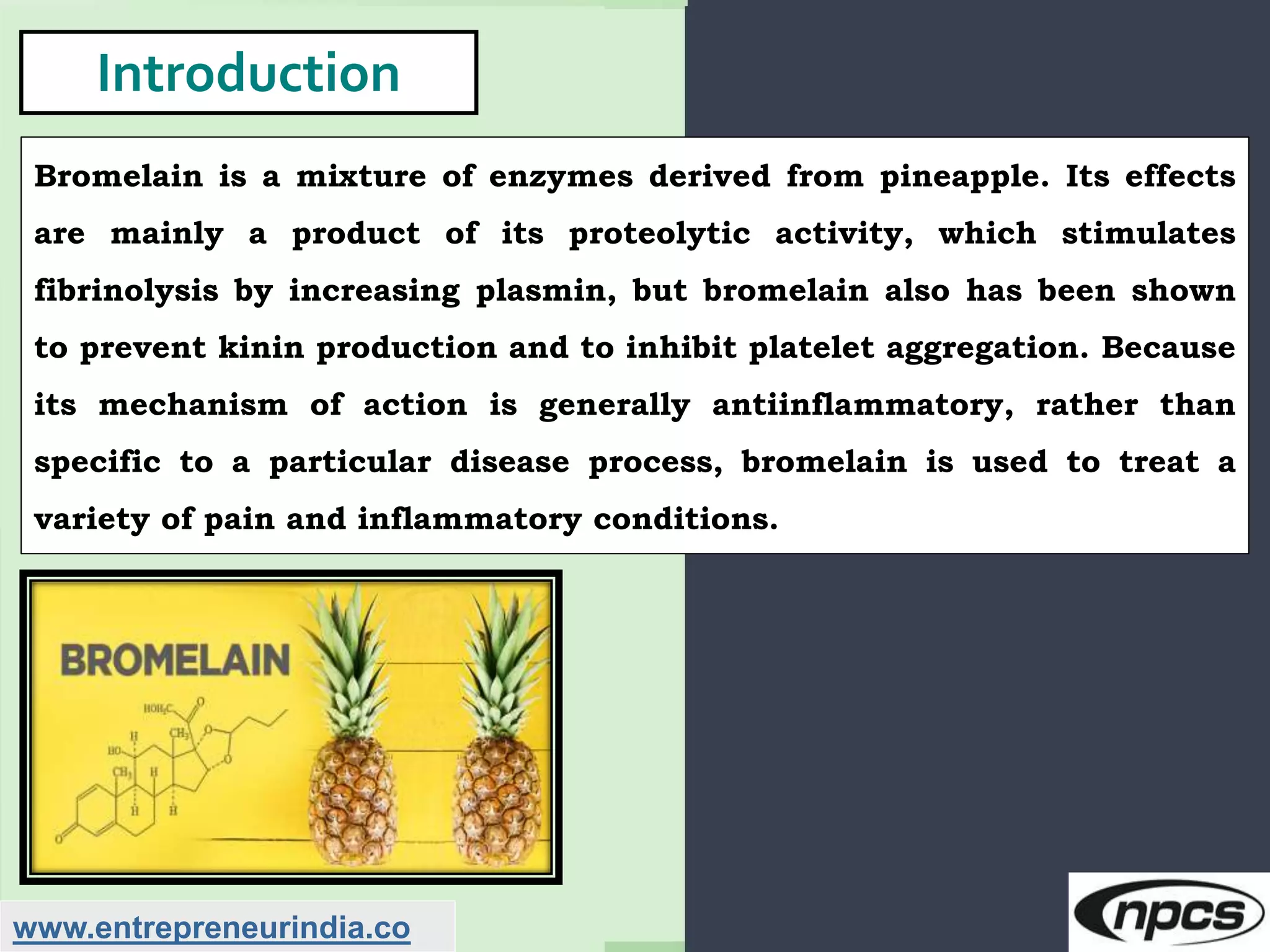 Bromelain Enzyme Production from Pineapple Stems | PPTX