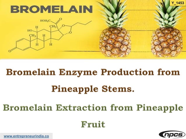 Bromelain Enzyme Production from Pineapple Stems | PPTX