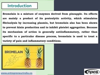 Bromelain Enzyme Production from Pineapple Stems | PPTX