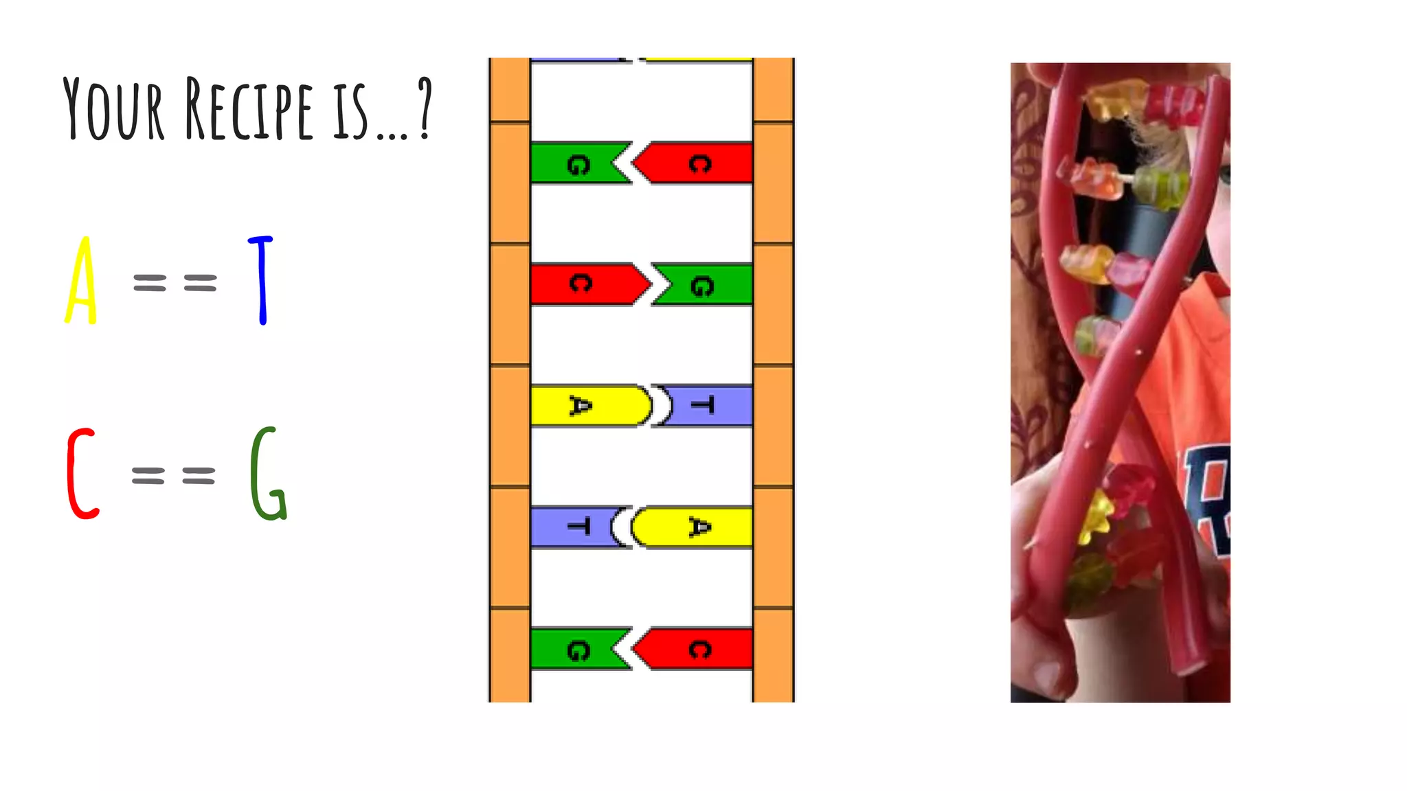 Introduction to DNA for Key Stage 2 (KS2) | PPTX