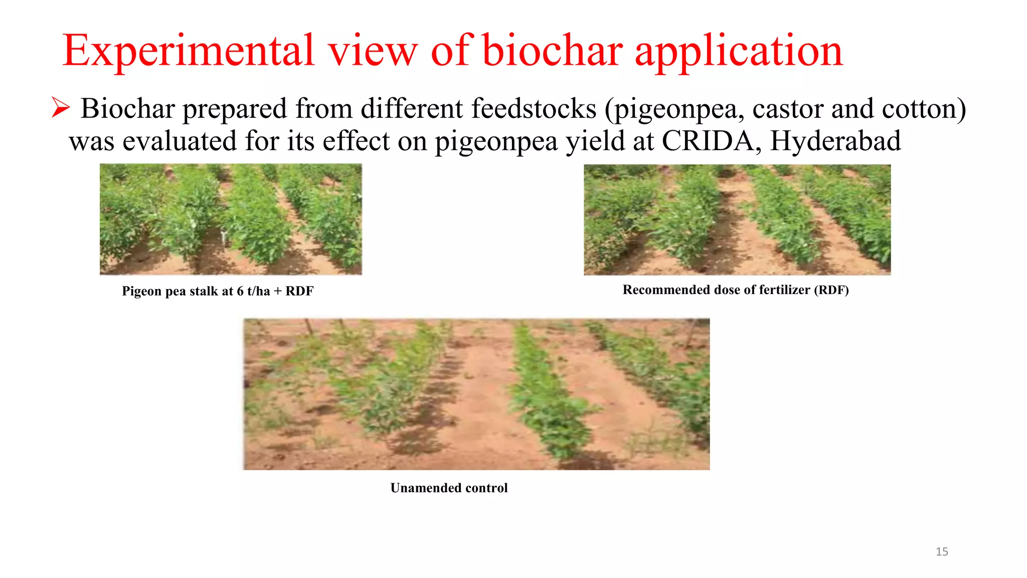 Biochar: Important Role In Agriculture | PPTX