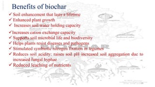 Biochar: Important Role In Agriculture | PPTX