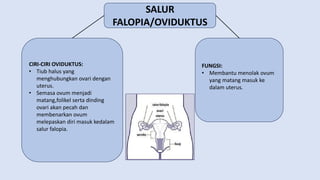 SS sistem pembiakan oleh agussssssss.pptx