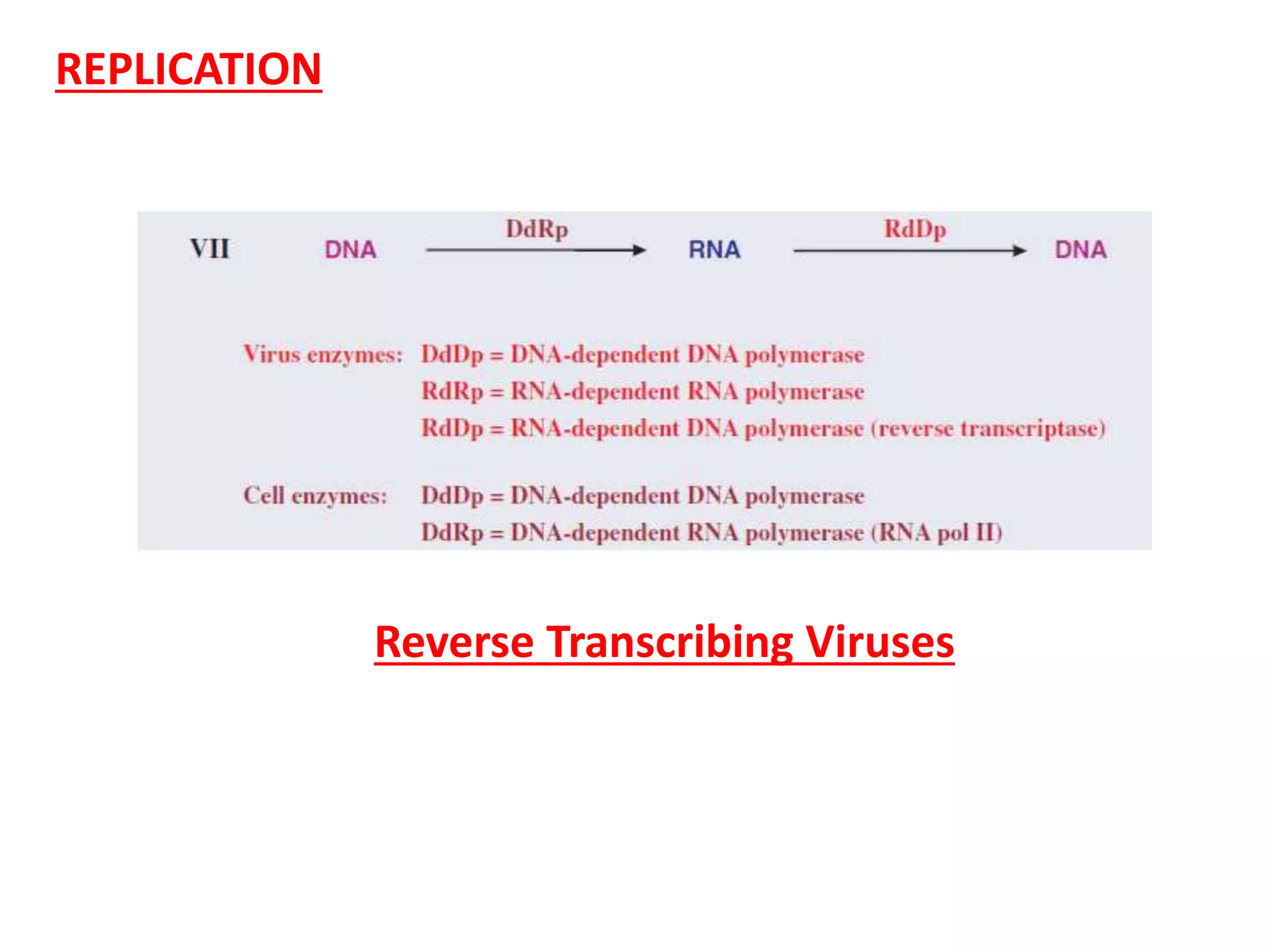 Cauliflower mosaic virus | PPTX