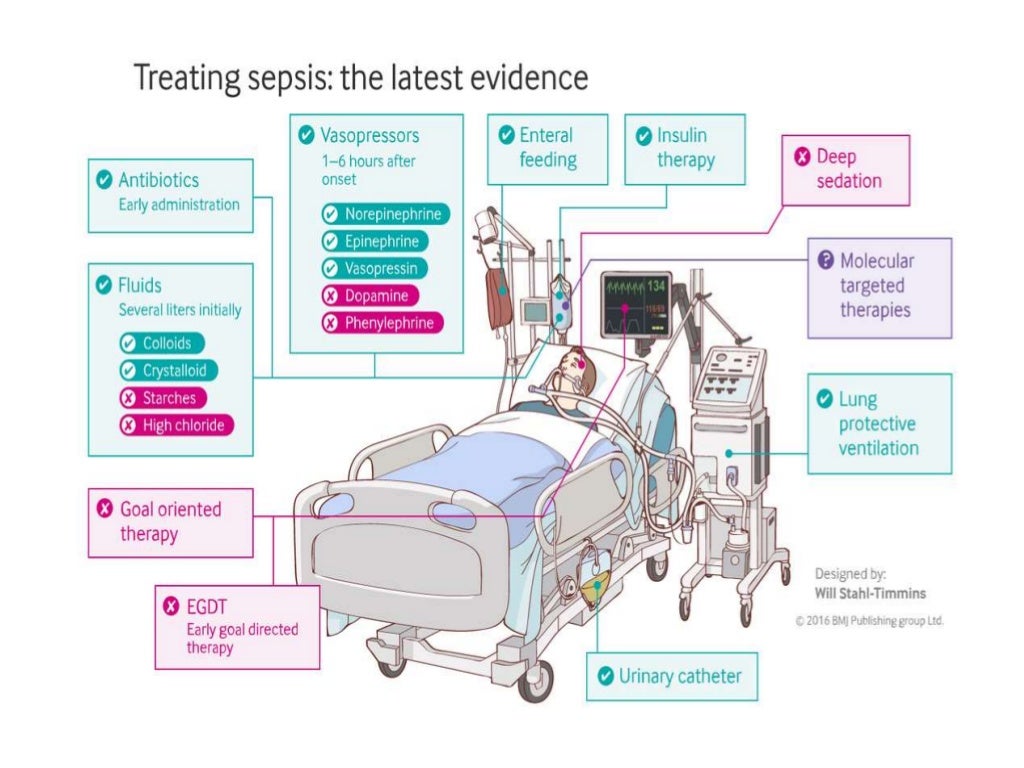Surviving sepsis campaign highlights 2016